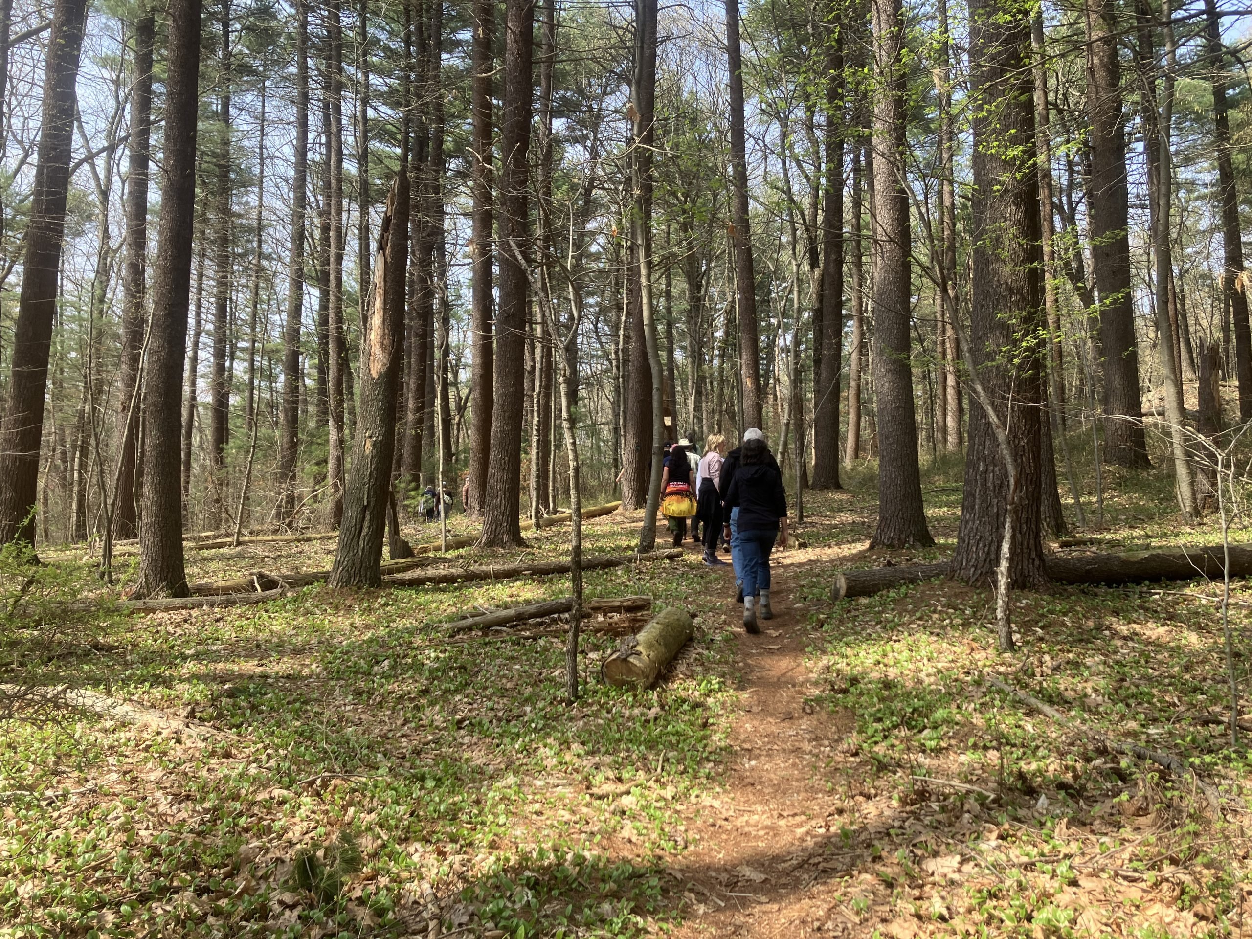 A Walk in the Town Forest, An Autumn Excursion - Dedham Museum & Archive